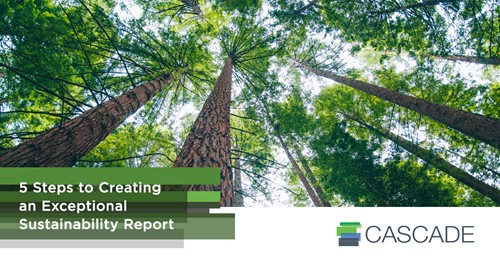 5 Steps to Creating an Exceptional Sustainability Report
