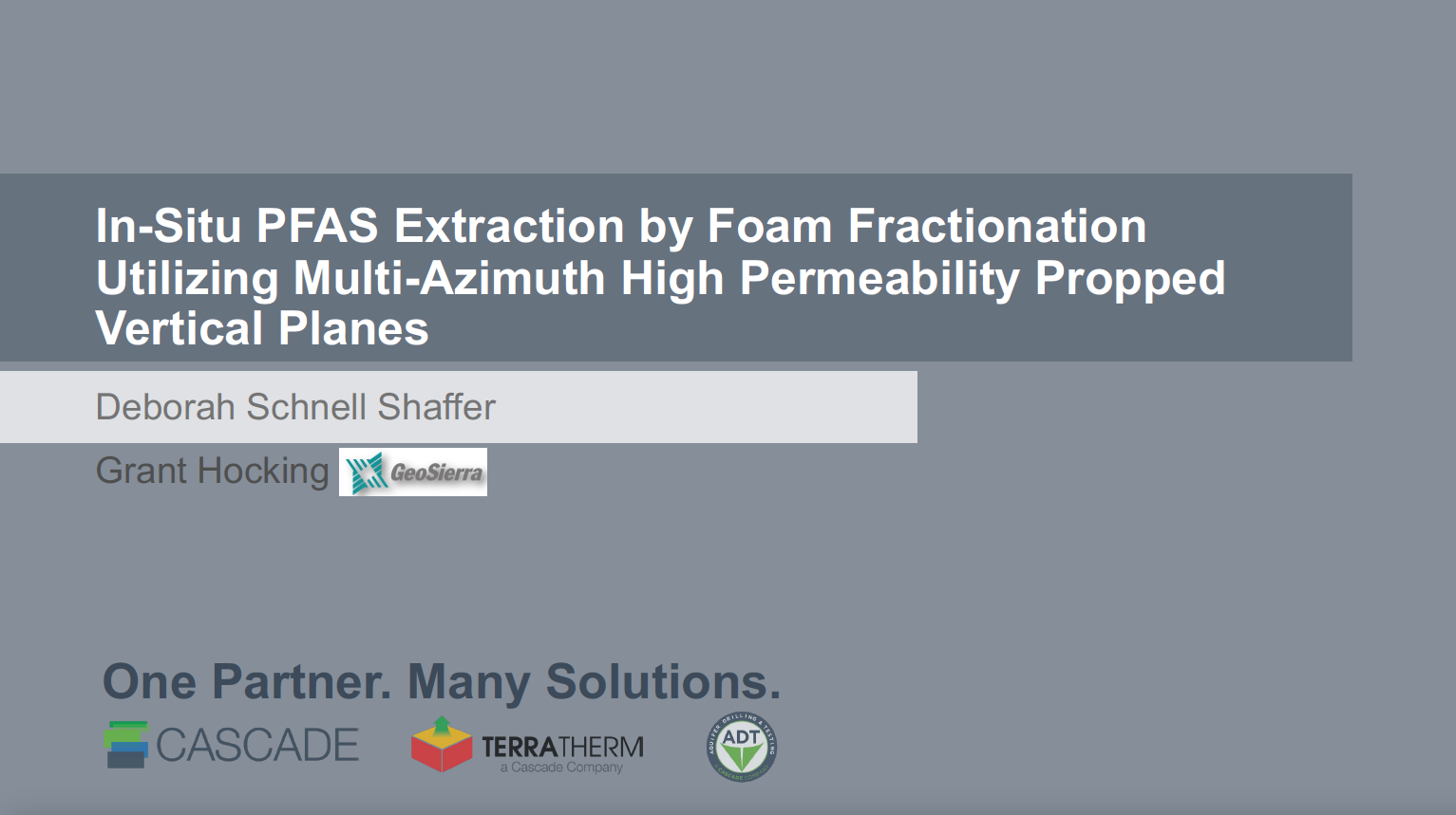 PFAS Extraction by Foam Fractionation Using Multi-Azimuth High ...